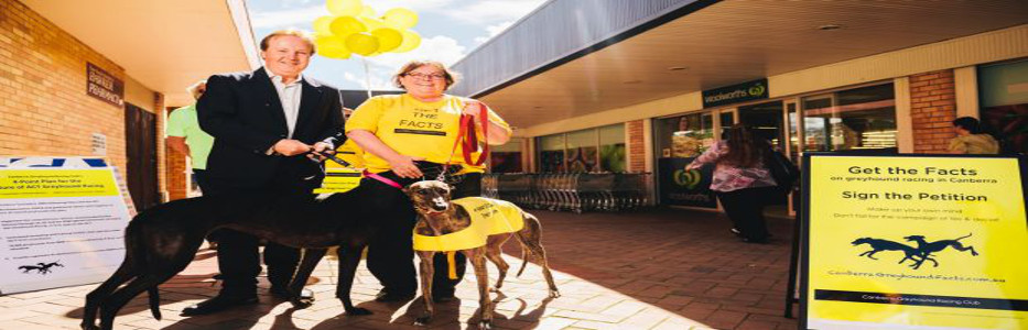 Greyhound club calls for ACT reversal to allow Vegas-style events ...